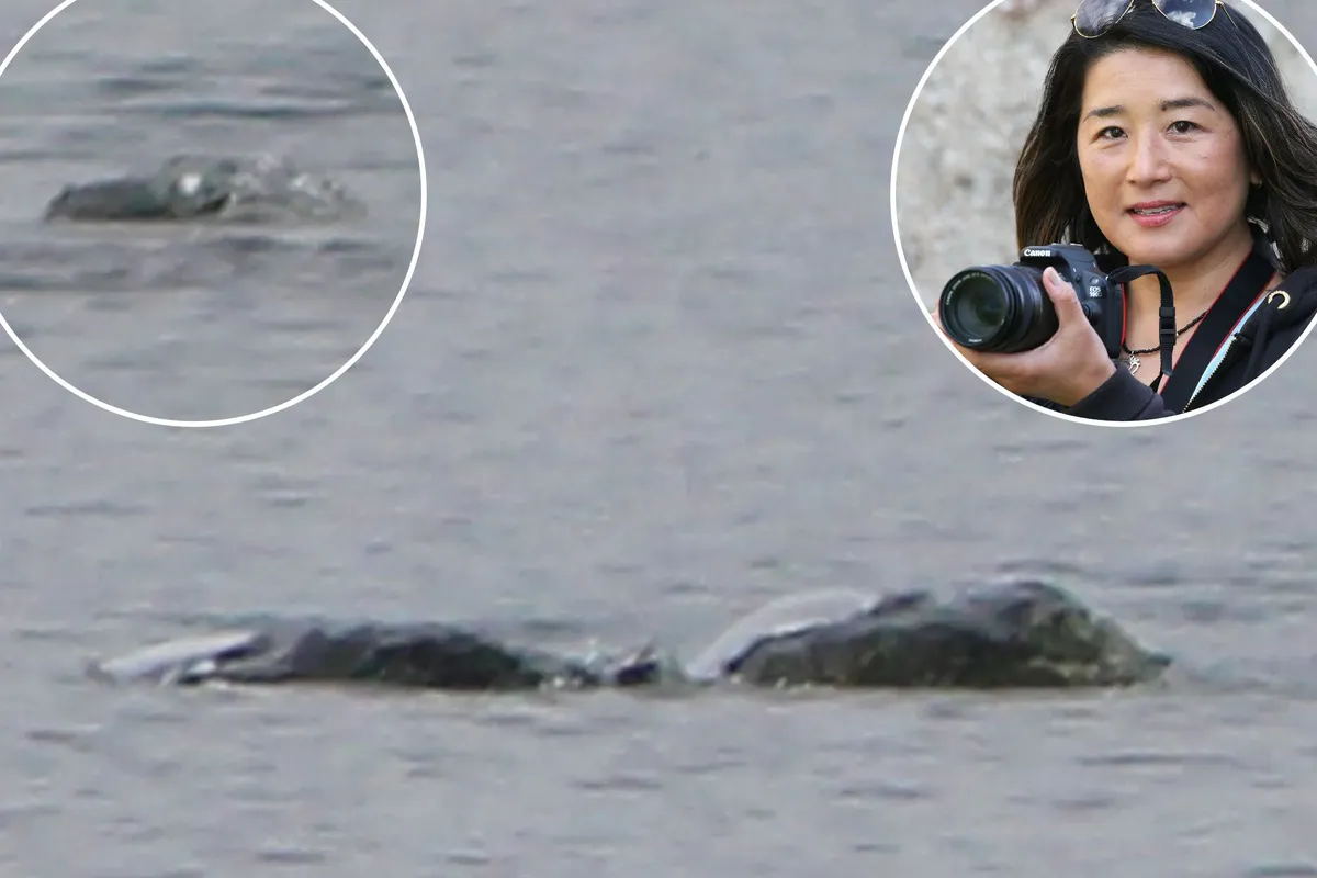 Nieuwe foto’s van het monster van Loch Ness zorgen voor opwinding: zijn ...
